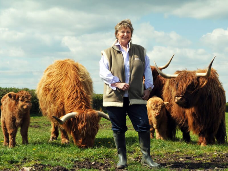 Our On-Site Local Farm- Eckington Manor