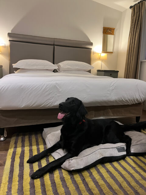 Dog Friendly Hotel Worcestershire